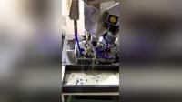 管螺纹全自动螺纹加工机器 伺服自动攻牙机