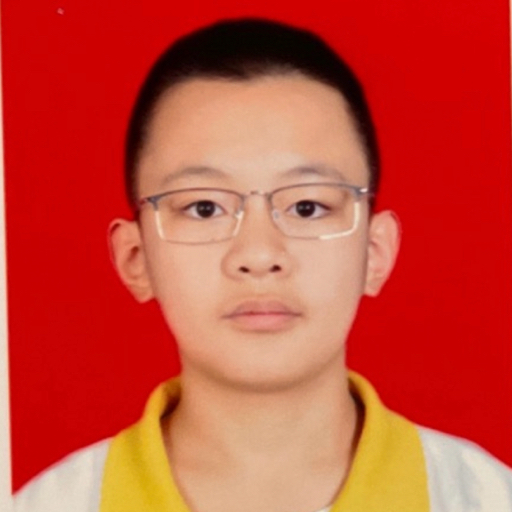 中国的任某某 