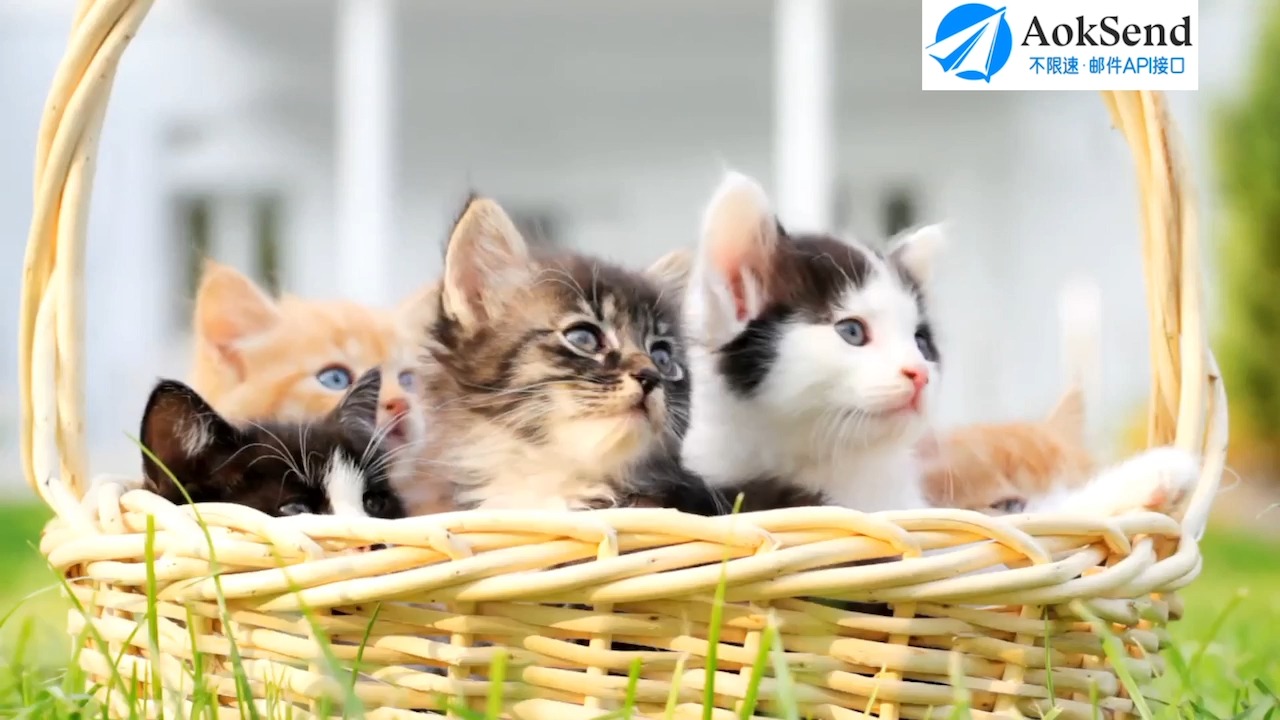 邮件发送失败SPF报错问题排查解决的方法? 邮件SPF报错排查攻略!...