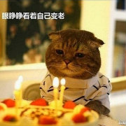 葫同裏有隻貓 