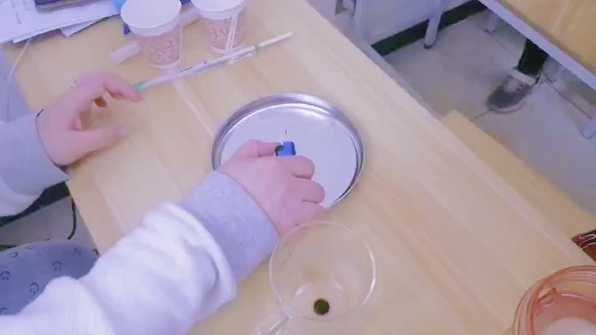 这样的作文课你上过吗?!记录我的一次科学小实验!#趣味实验