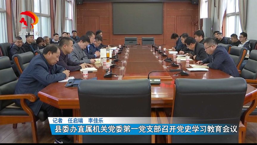 定边县委办直属机关党委第一党支部召开党史学习教育会议