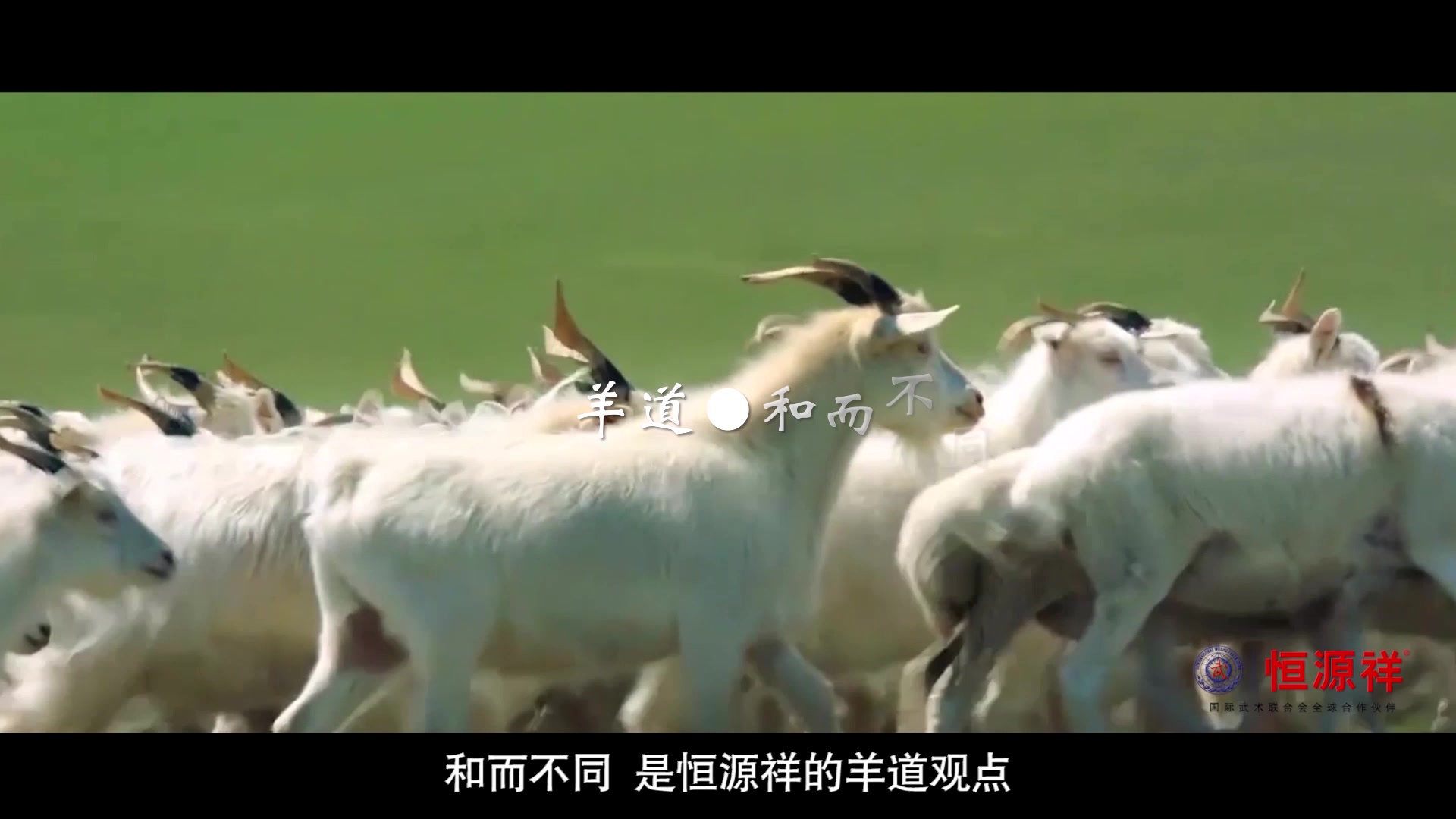 【恒源祥品牌纪录片】之《羊毛上的商标》