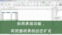 利用表功能, 创建可动态扩充数据的数据透视表!
