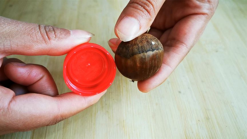 板栗开口别用刀切了,用1个瓶盖,一秒一个,这方法太棒了