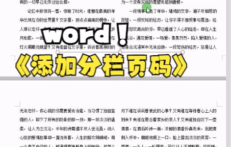 【Word技巧】今天教你在word中添加分栏页码