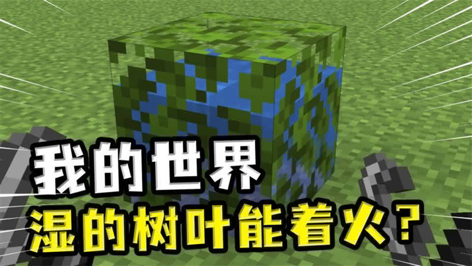 我的世界:湿了的树叶能点火吗
