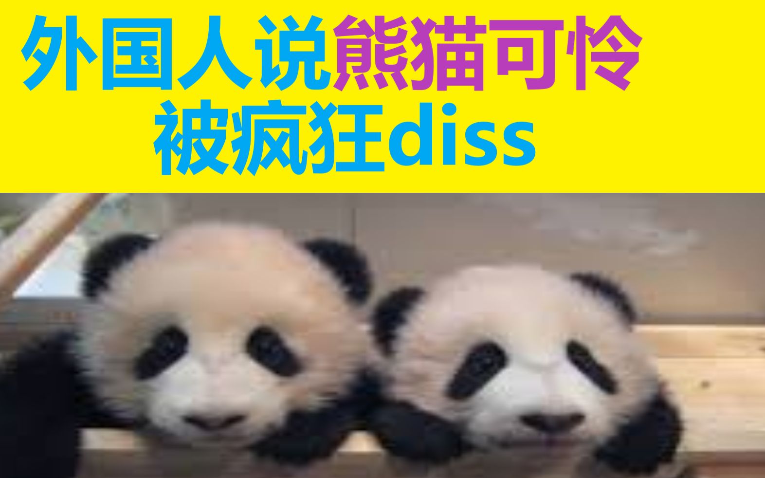 外国人发视频说熊猫可怜,被网友diss"宝宝只是还小,以后会成为龙骑士...