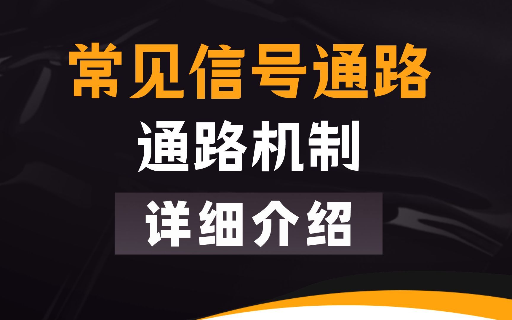 受体类型及其经典信号通路