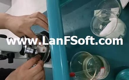 观察小鱼尾鳍内血液流动