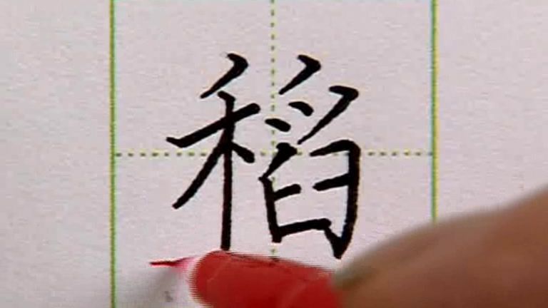 太漂亮了!钢笔字并不高深,习字的进,全网最全,硬笔书法教学!