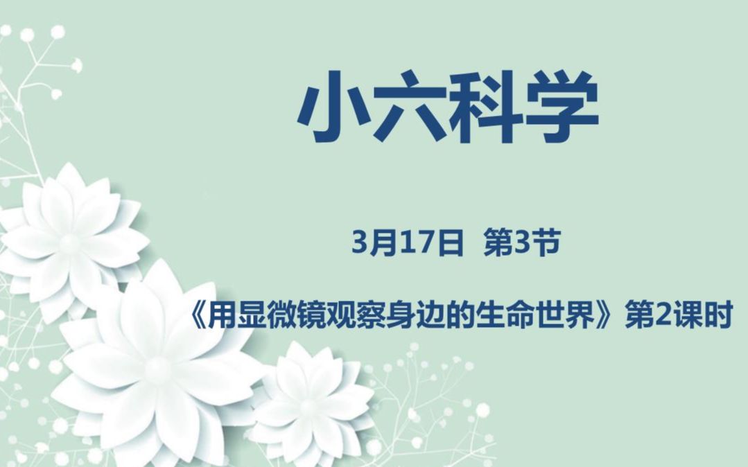 小六科学03-17第三节 用显微镜观察身边的生命世界二