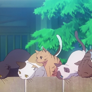 一颗圆圆的小脑袋 