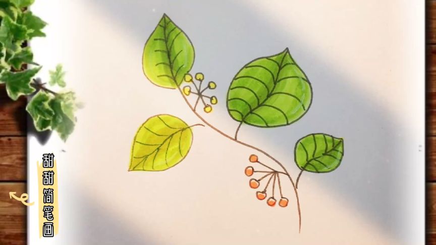 儿童趣味简笔画,树叶藤蔓,简单易学