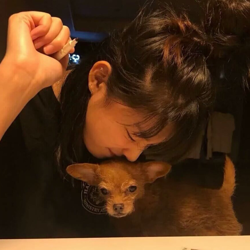 温暖小橘子 