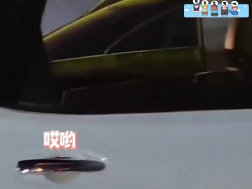 狗子的一秒钟尴尬与十年狗生的滑稽碰撞