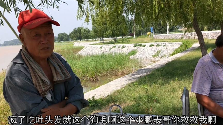 被狗咬了怎么办?大爷黄河边讲述:很危险,狂犬病发作没治了