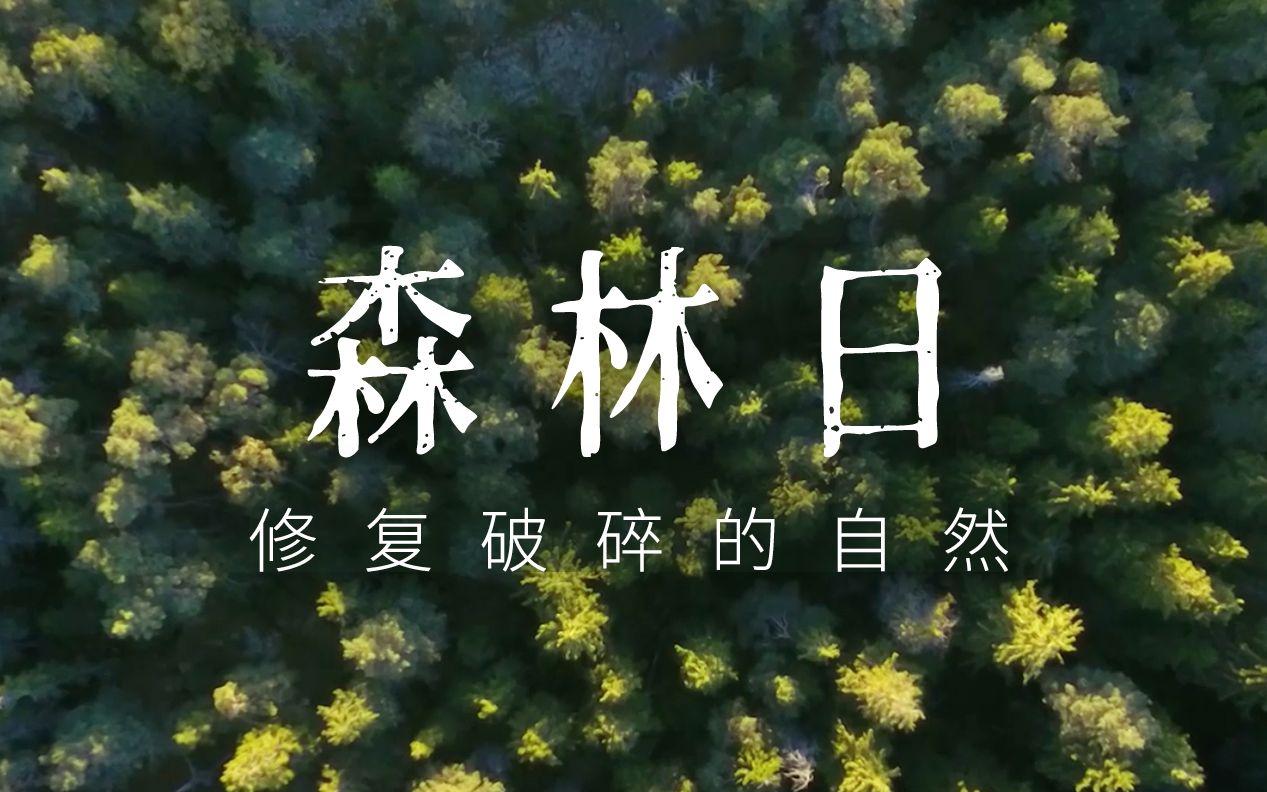 国际森林日,保护中国最大的热带雨林,给亚洲象一个家