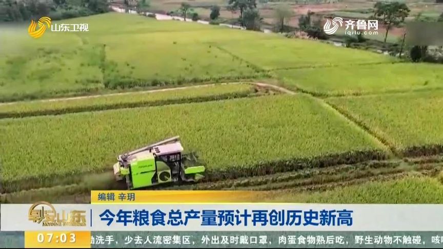 今年粮食总产量预计再创历史新高,连续6年保持在1.3万亿斤以上