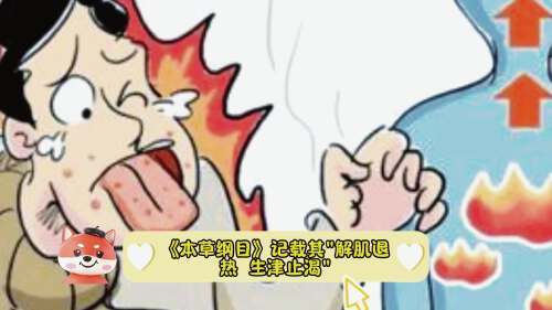 1467.葛根粉的功效与作用 食用方法