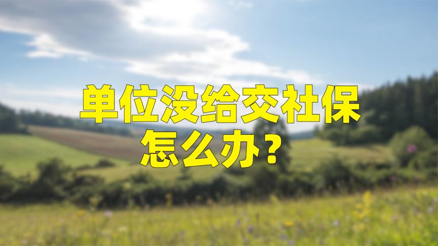 单位没给交社保怎么办?
