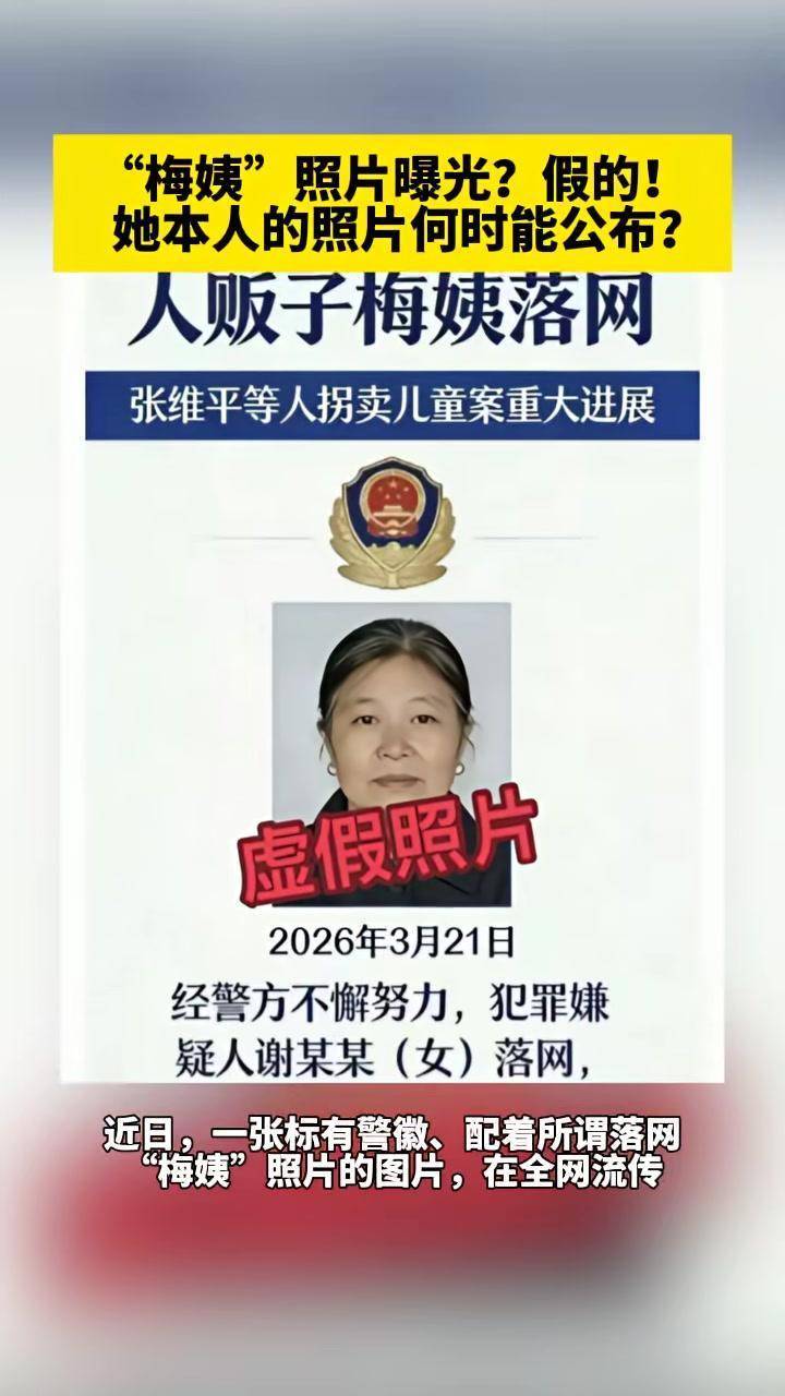 "梅姨"照片曝光?假的!她本人的照片何时能公布?#热点