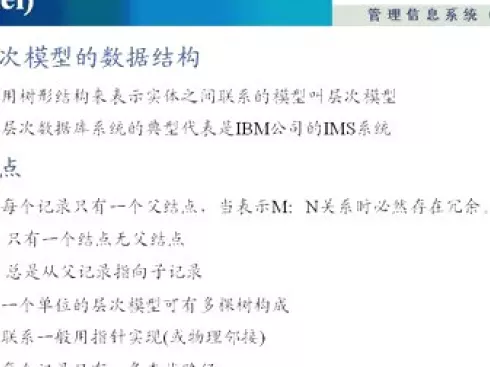 管理信息系统 (13)