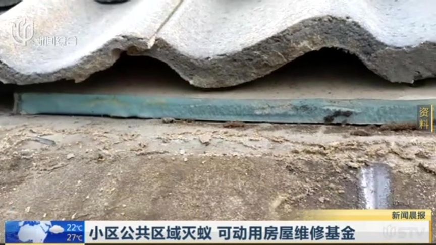 上海迎来梅雨季,如果小区公共区域有白蚁,该由谁来管?