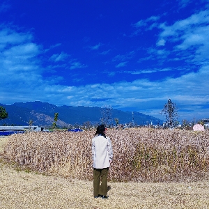 Sisi行见 