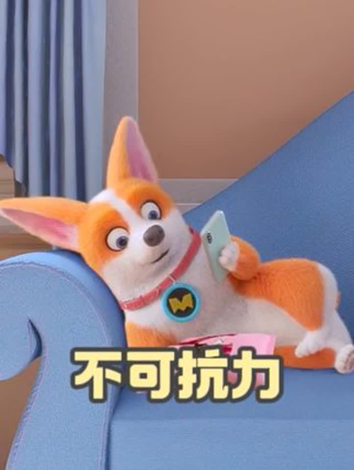 怎么天天做家务就是瘦不下来呢?#轻漫计划 #充能计划 #柯基 #搞笑 #...