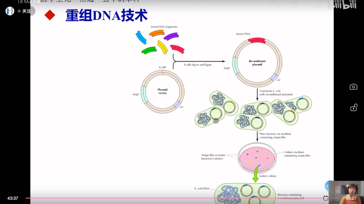 重组dna技术简介