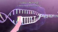 02-04 Transcription and translation 转录和翻译