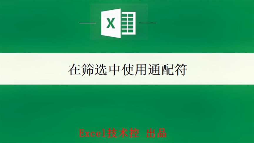 经常使用excel筛选,你会使用通配符进行筛选吗?