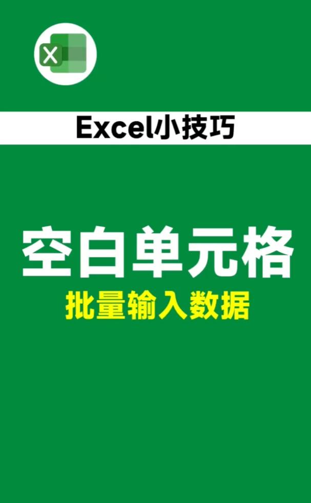 Excel技巧,空白单元格批量输入内容#Excel从零到一#
