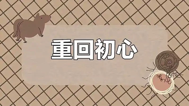 如果你能回到迷你世界的起点,你会选择这样做吗?