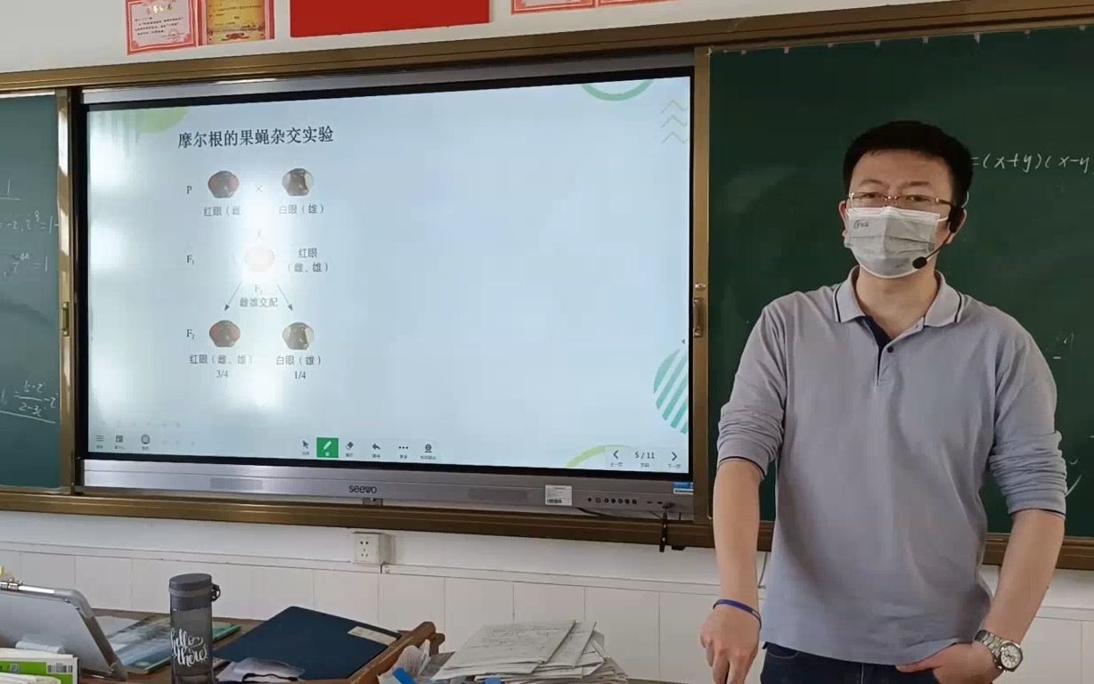 【跟亮哥学生物】高中生物必修二 2.2 基因在染色体上-2