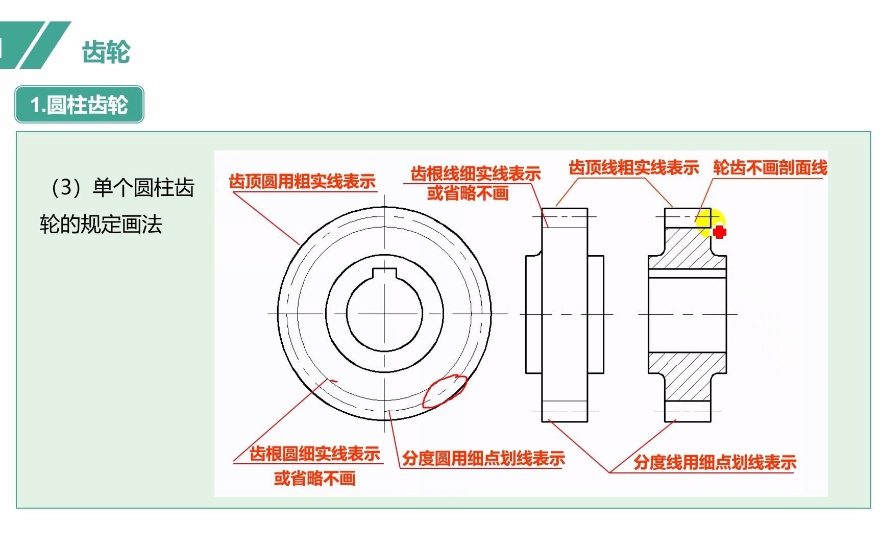 31.3讲单个圆柱齿轮的规定画法