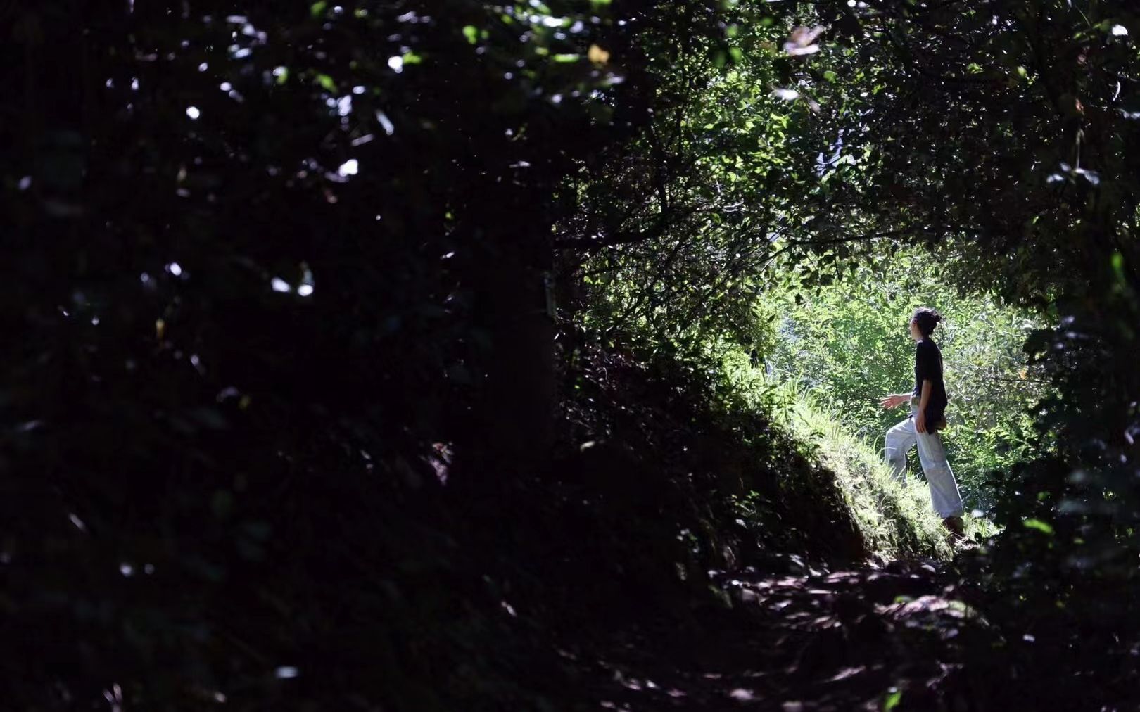 朴行中国记第四集:云南的维岛自然农场(上)朴门永续设计