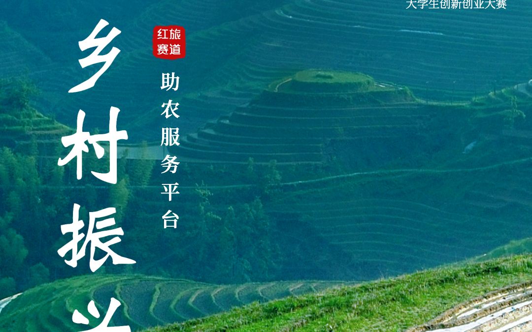 互联网+大赛乡村振兴项目计划书