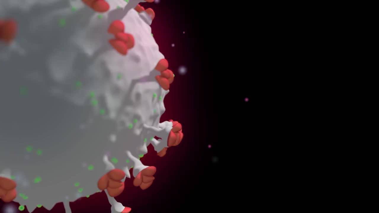 影视后期ae软件案例教程 MG动画素材准备