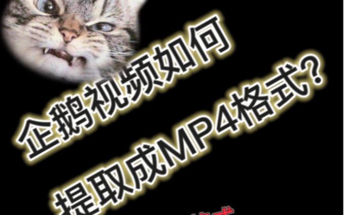 企鹅视频快速转换MP4格式