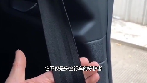 安全带可派大用场