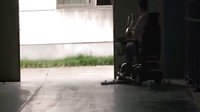 日普尘推车使用视频