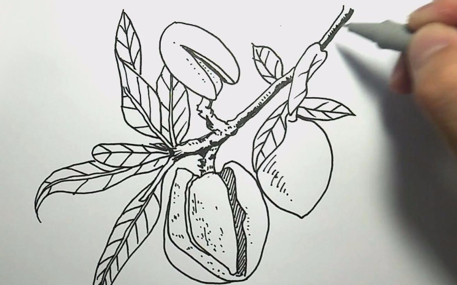 简单易学的线描画,和孩子一起画吧!