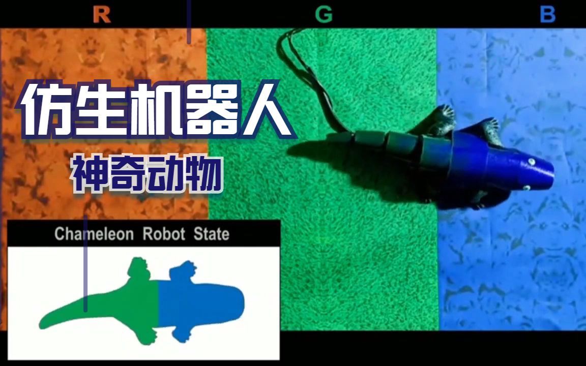 7种神奇的仿生机器人,这是一条不断变色的视频······