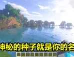 我的世界:最值得珍藏的生成器种子居然是她的名字?