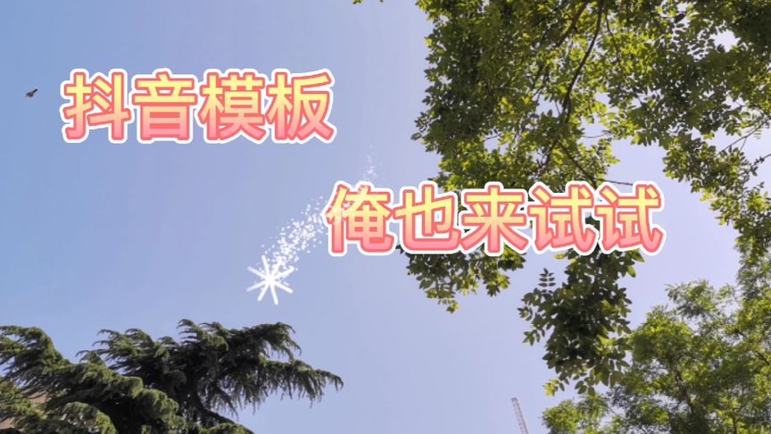 抖音模板不错,俺来试试