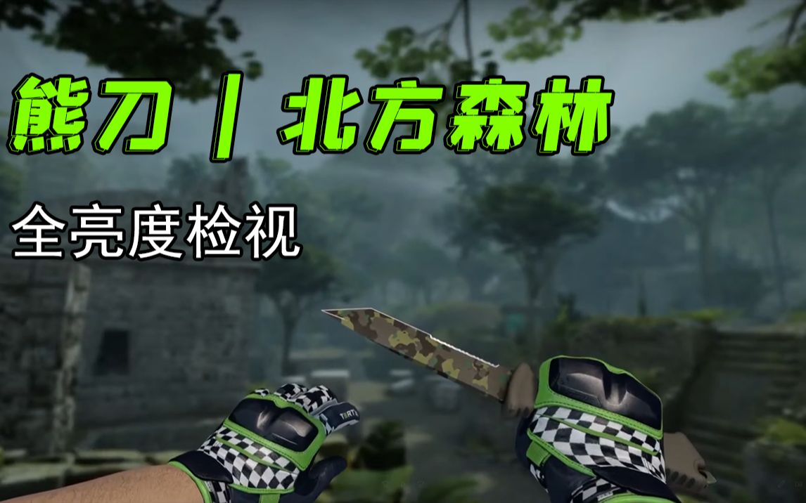 【CSGO】熊刀 | 北方森林、全亮度检视