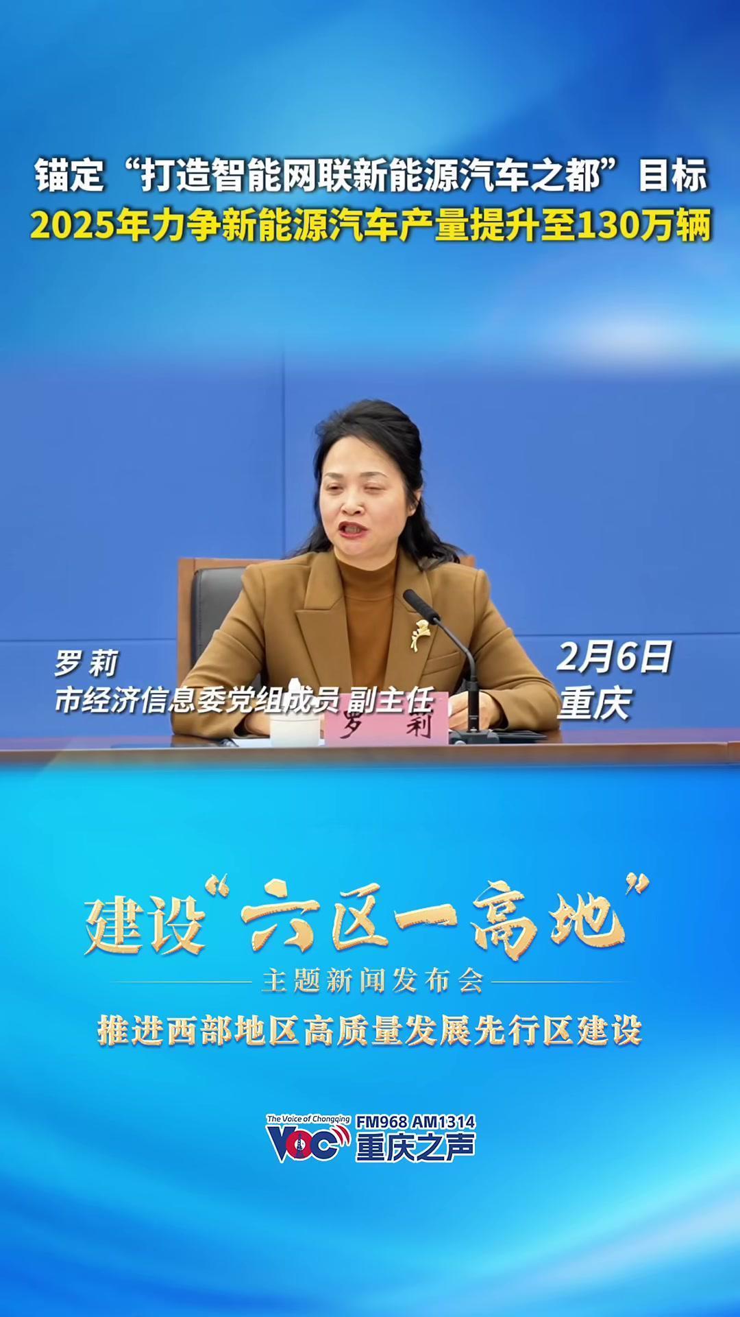 ...坚持整零协同、软硬结合、场景牵引、数字赋能、自主创新、品牌...