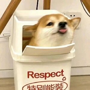 李瓜皮不瓜 